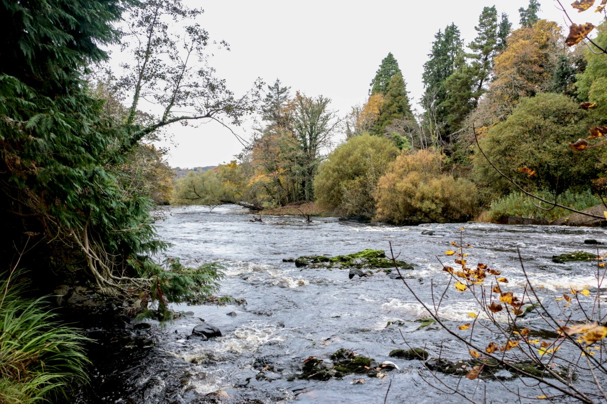 SLNCR Greenway Demonstration Launch Day – Crank and Cog