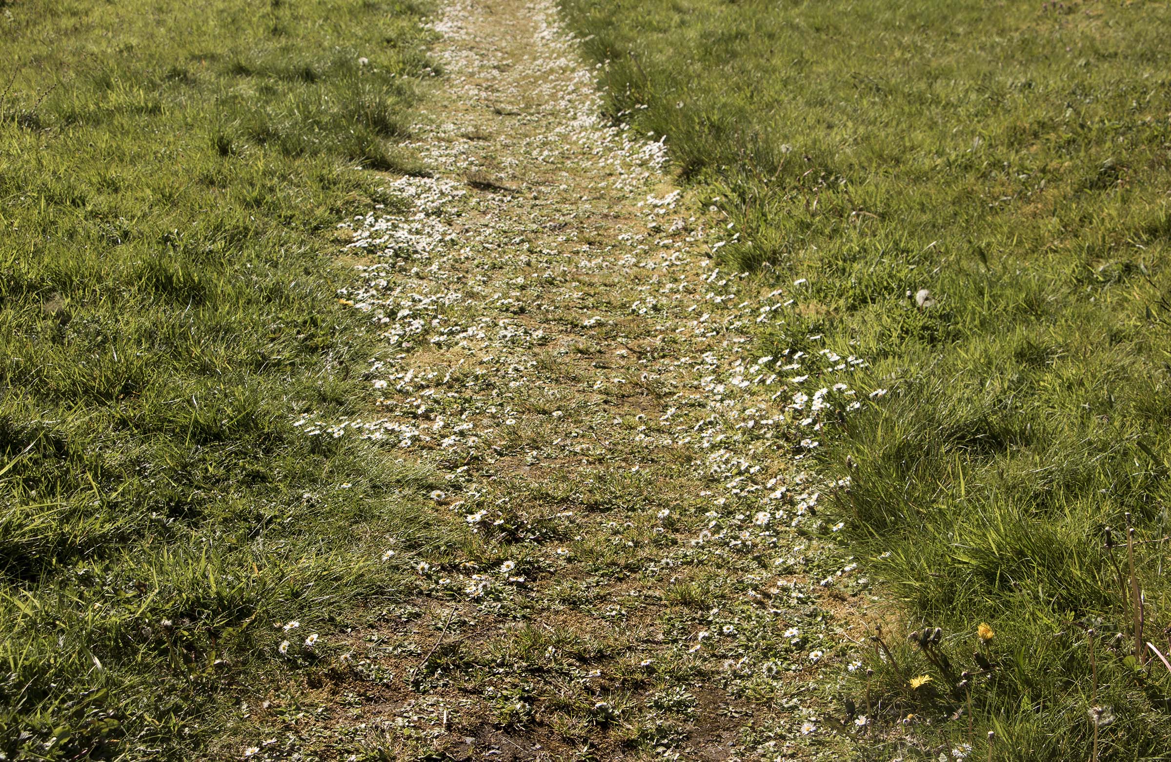 Bikepacking Through the Ox Mountains, Sligo, Ireland. – Crank and Cog
