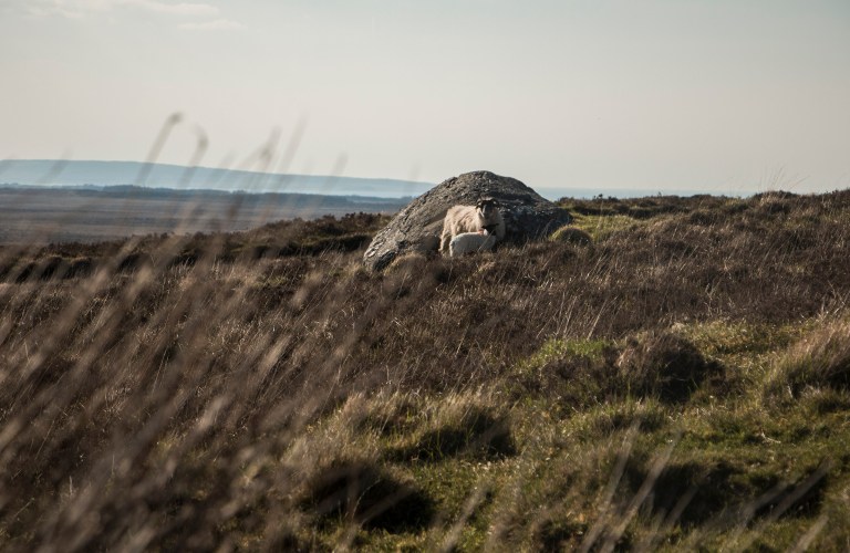 Bikepacking Through the Ox Mountains, Sligo, Ireland. – Crank and Cog