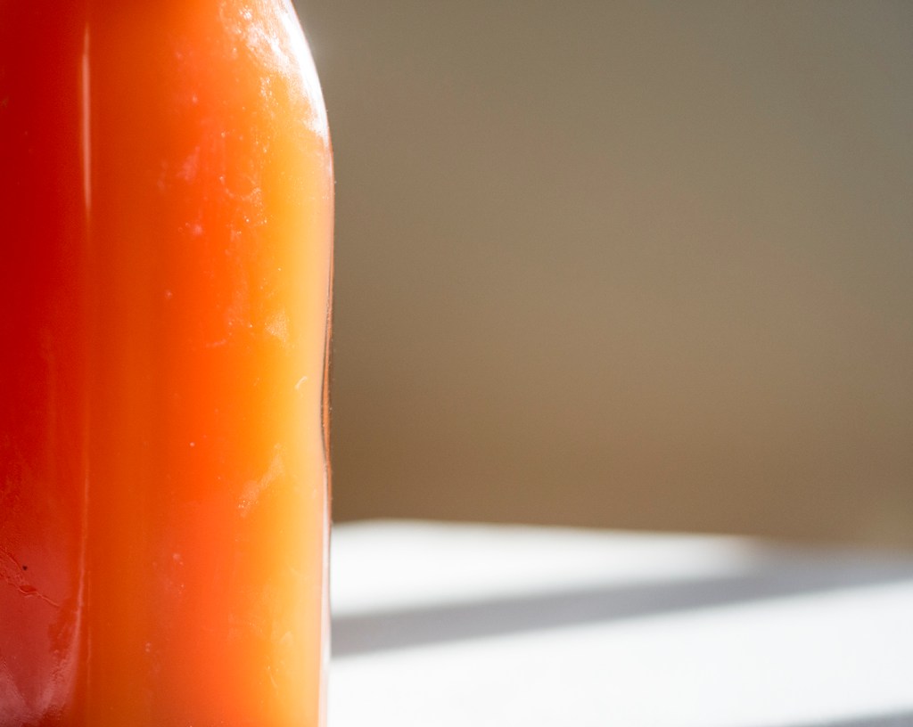 Rose Hip Syrup – Crank and Cog