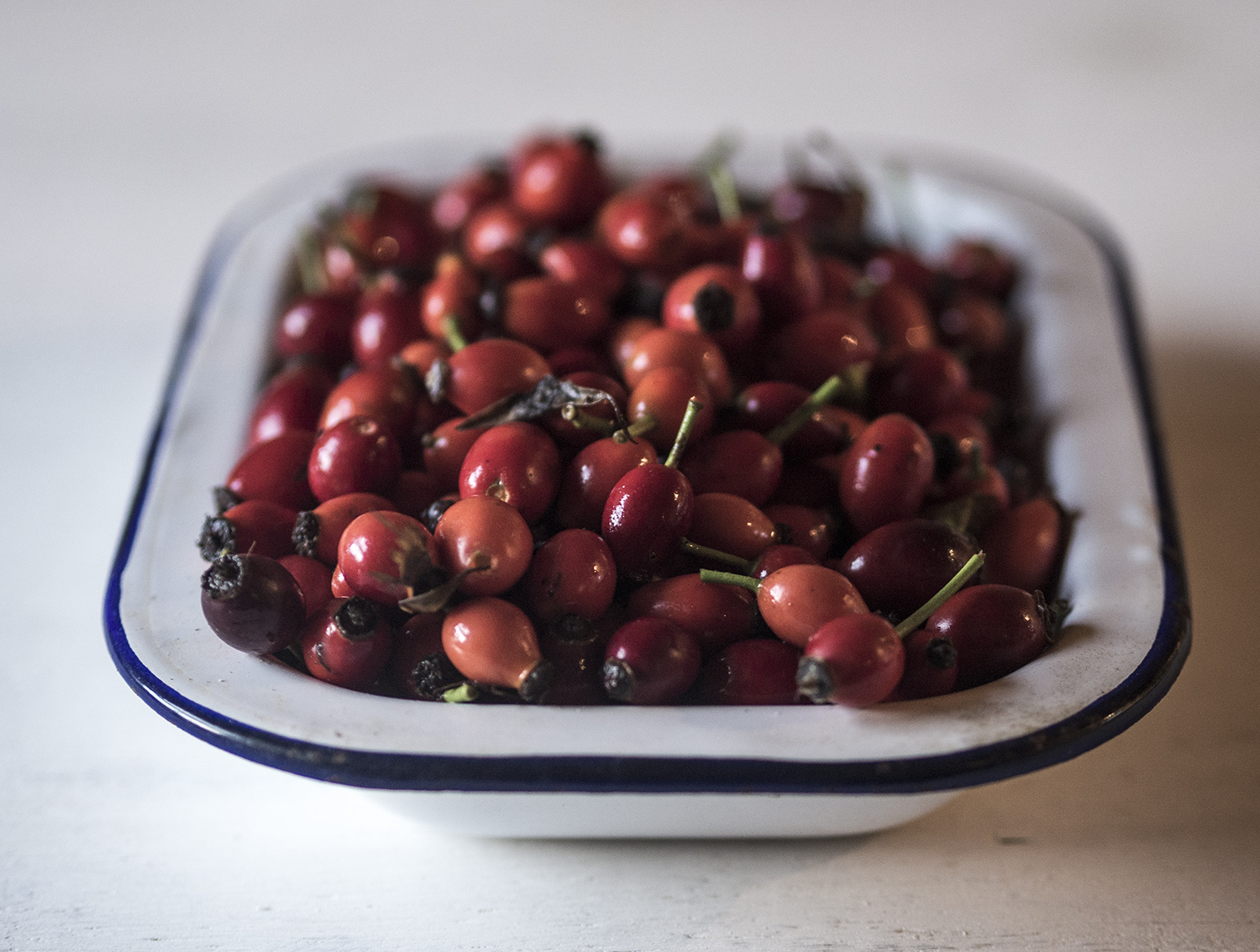 Rose Hip Syrup – Crank and Cog